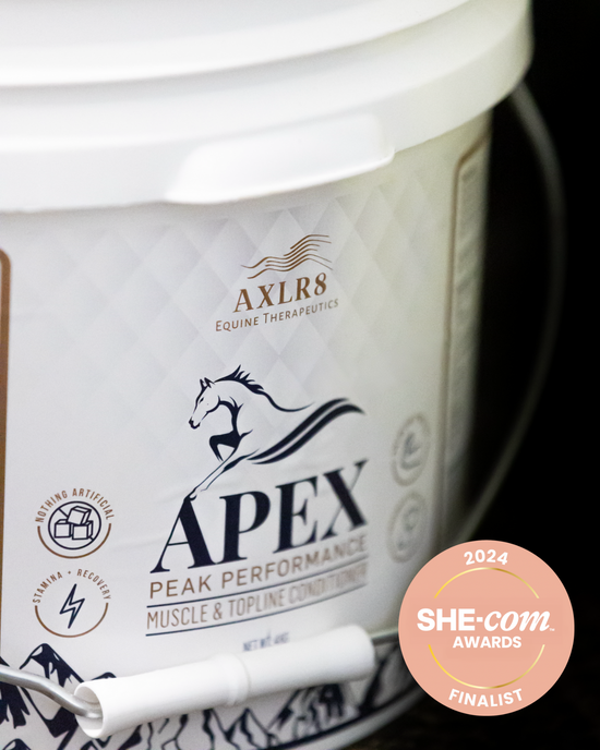 APEX™ Muscle and Topline Conditioner – AXLR8 Equine