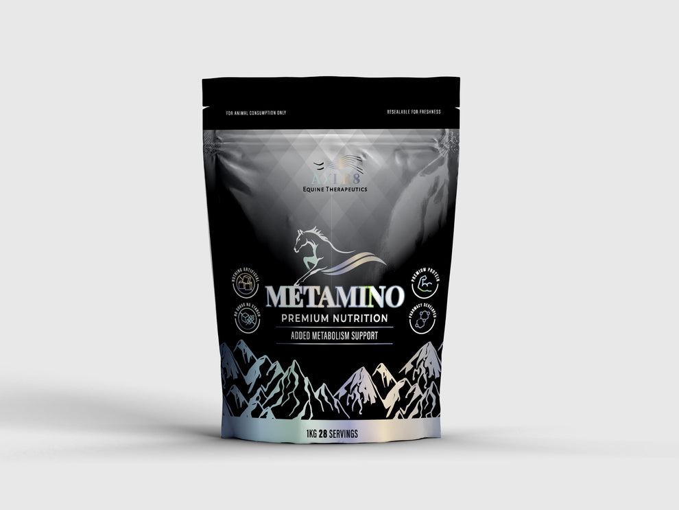 METAMINO – AXLR8 Equine
