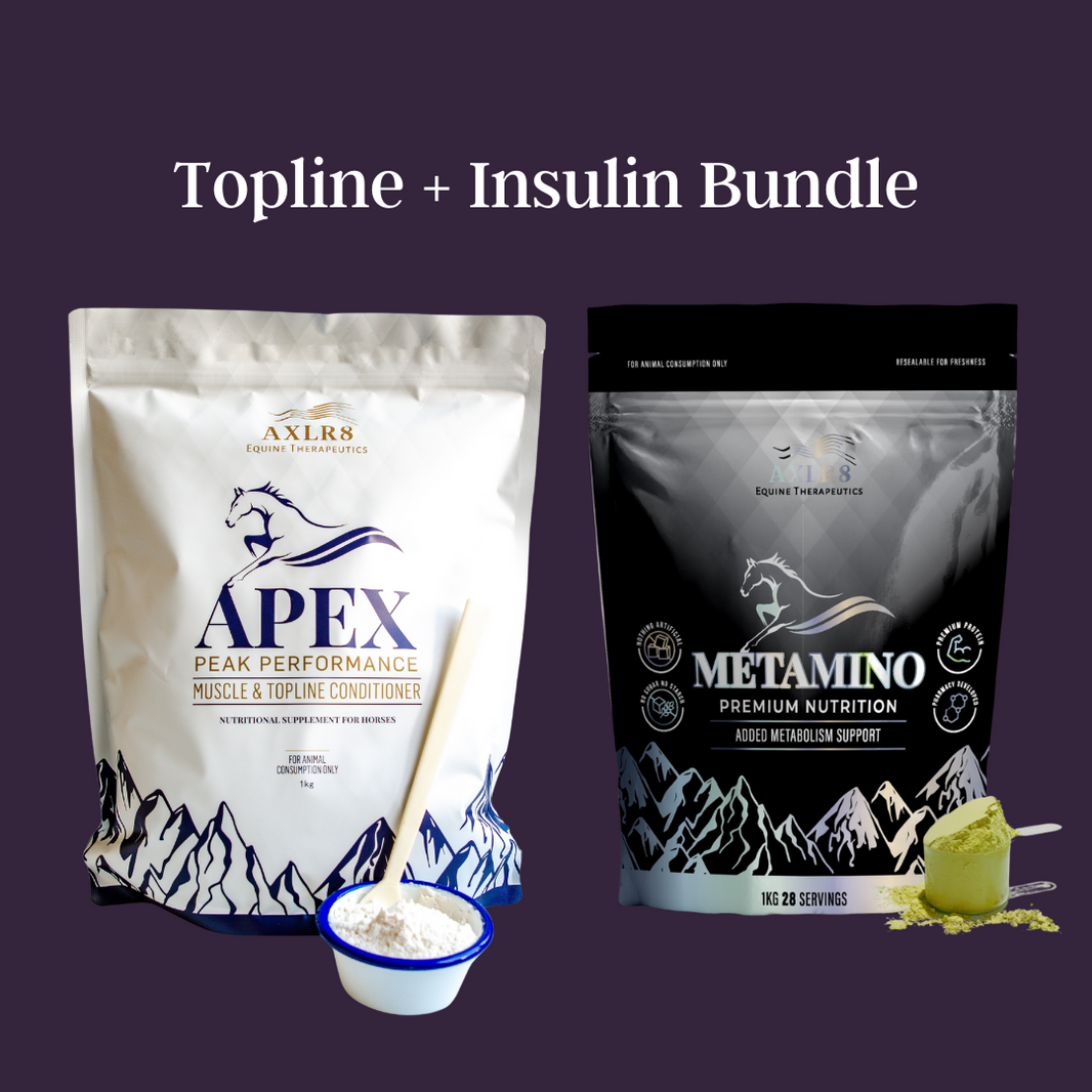 Bundle Packs – AXLR8 Equine