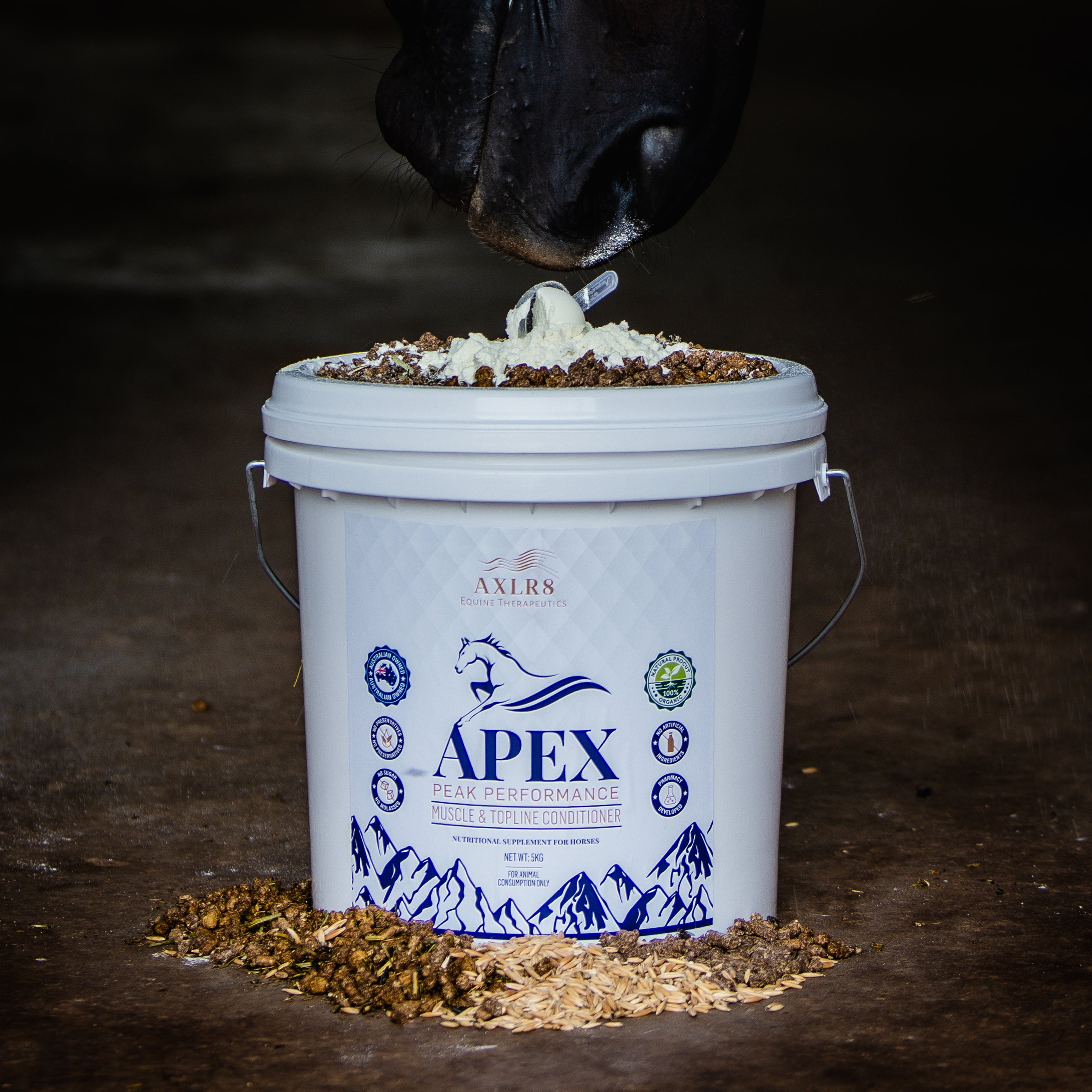 APEX™ Muscle and Topline Conditioner – AXLR8 Equine